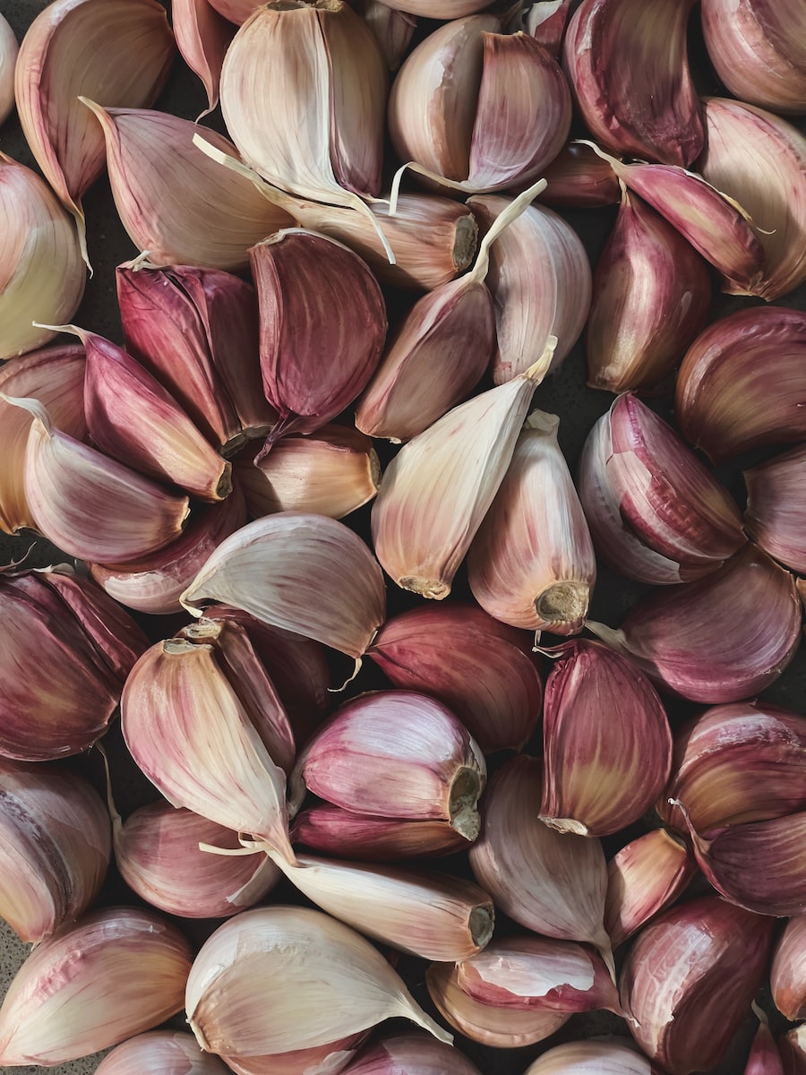 Harnessing The Power Of Garlic: A Modern Witch's Guide To Chthonic ...
