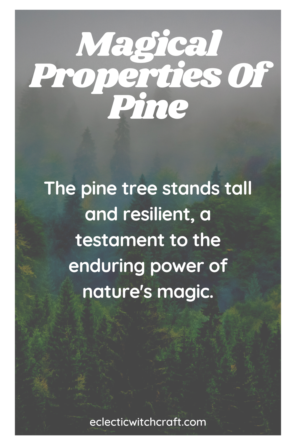 The Magical Properties Of Pine (Pine Uses In Witchcraft) » Eclectic ...