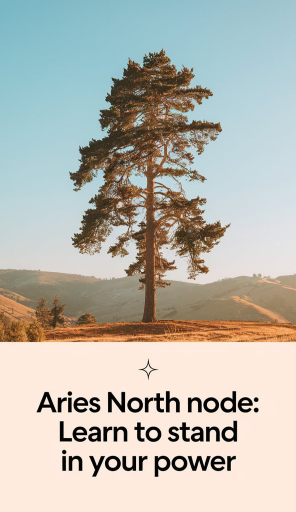 North Node Astrology: Your Soul's Blueprint For This Lifetime ...