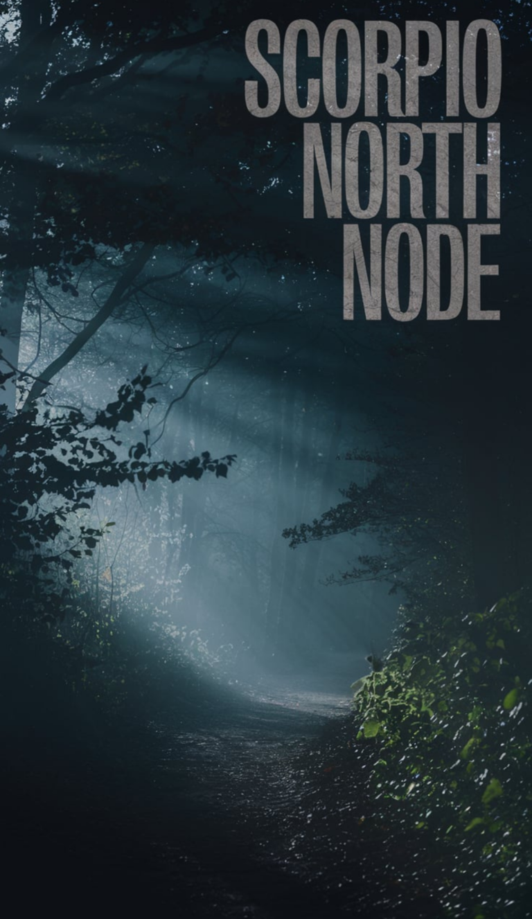 North Node Astrology: Your Soul's Blueprint For This Lifetime ...